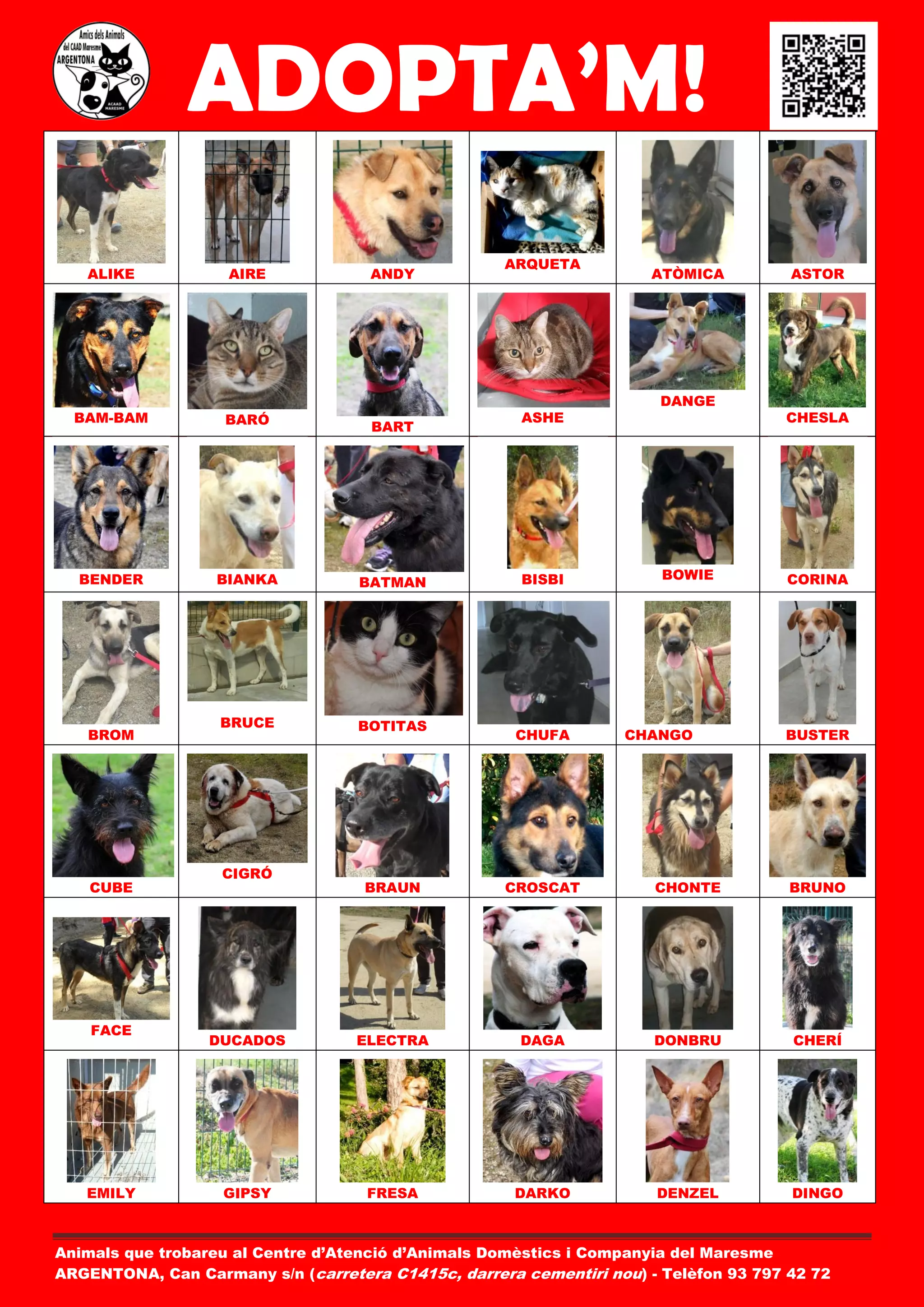 Revista febrer 2013 | PDF