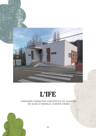 Revista_IFE1Revista_IFE1Revista_IFE1Revista_IFE1 | PDF | Free Download