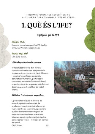Revista_IFE1Revista_IFE1Revista_IFE1Revista_IFE1 | PDF