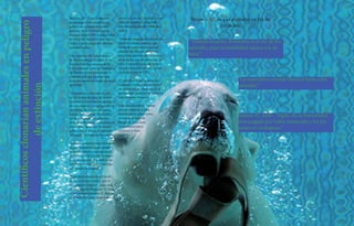 Revista (interactiva) | PDF