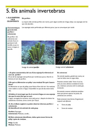 Animals invertebrats | PDF