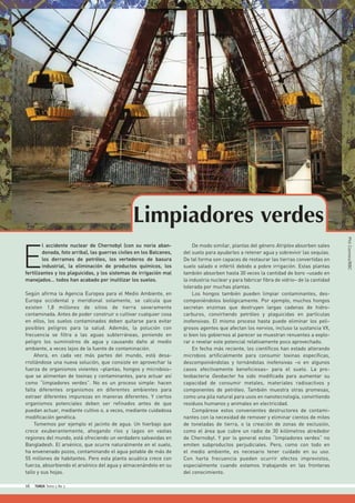 Tecnología y medio ambiente (Revista tunza) | PDF