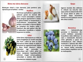 Revista " AJNSHTAJNET E VEGJEL" | PPT