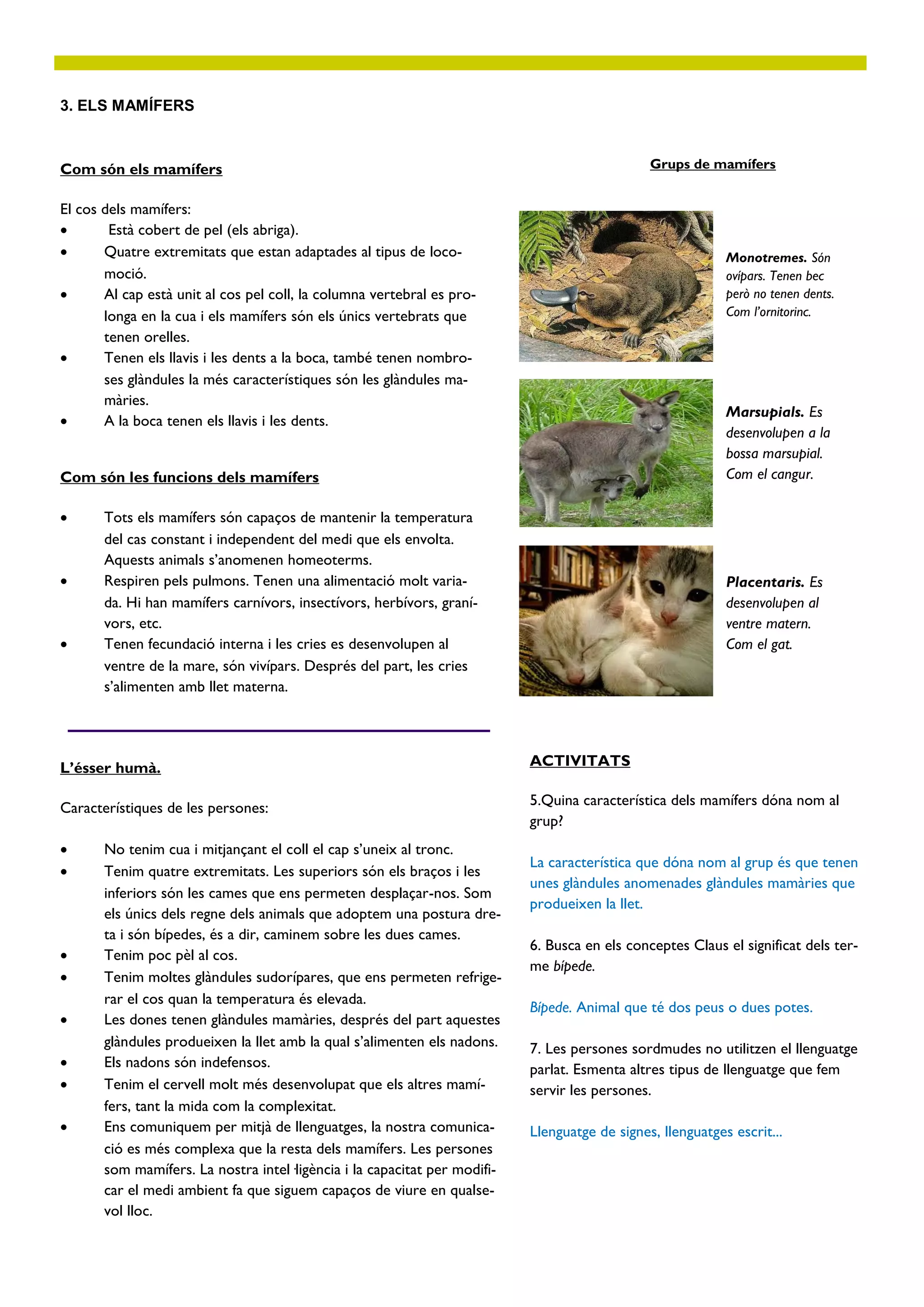 Animals vertebrats | PDF