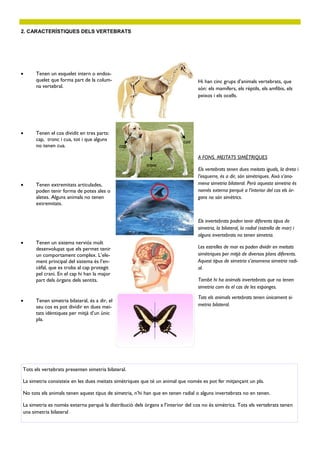 Animals vertebrats | PDF