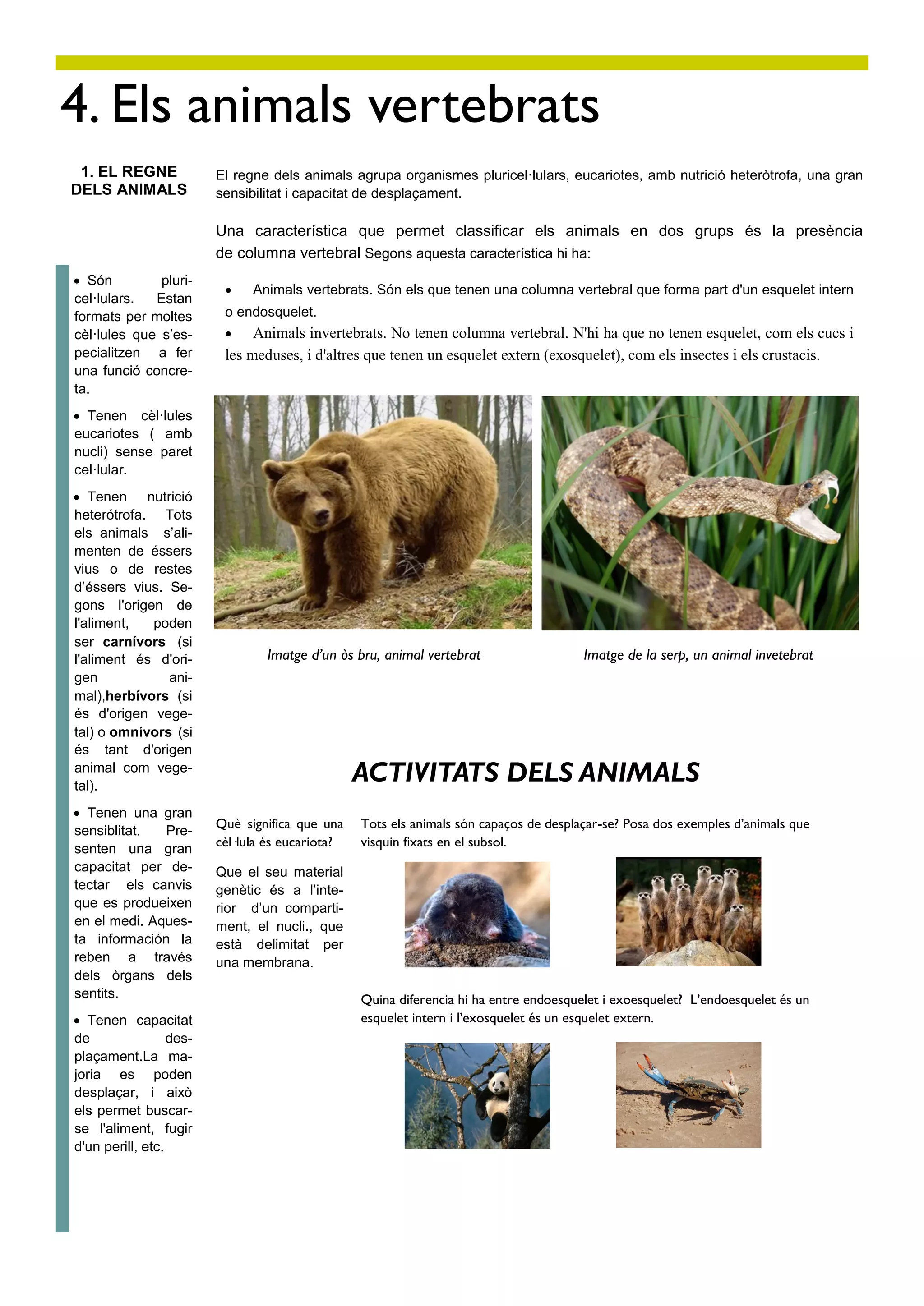 Animals vertebrats | PDF