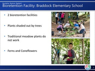 Revitalize, Restore, Replant | PPT