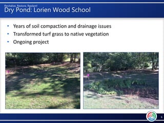 Revitalize, Restore, Replant | PPT