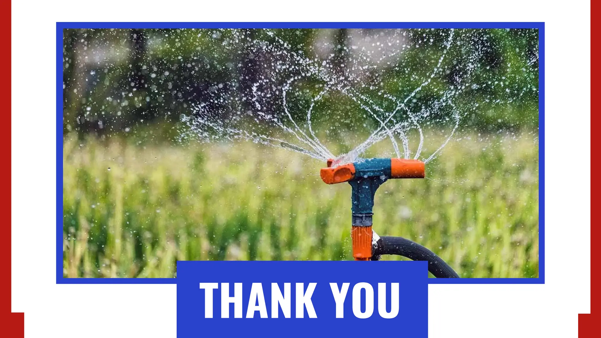 Revitalize Your Garden with Irrigation Services | PDF