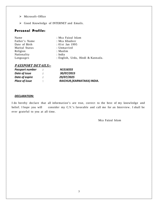 Revit mep draftman resume 000 | DOC