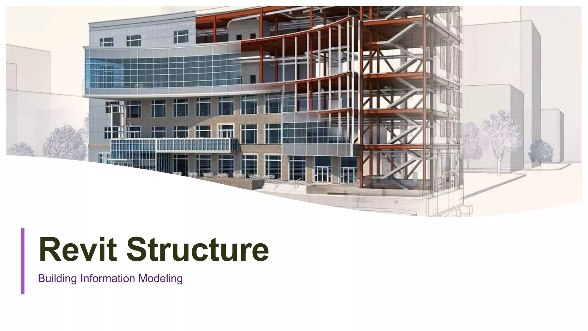 Revit Structure.pptx