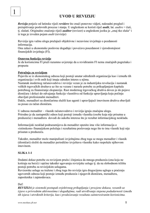 Revizija | PDF