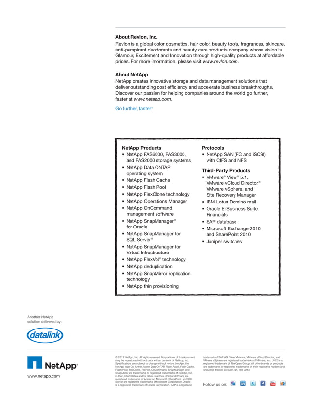 Revlon Technical Case Study | PDF