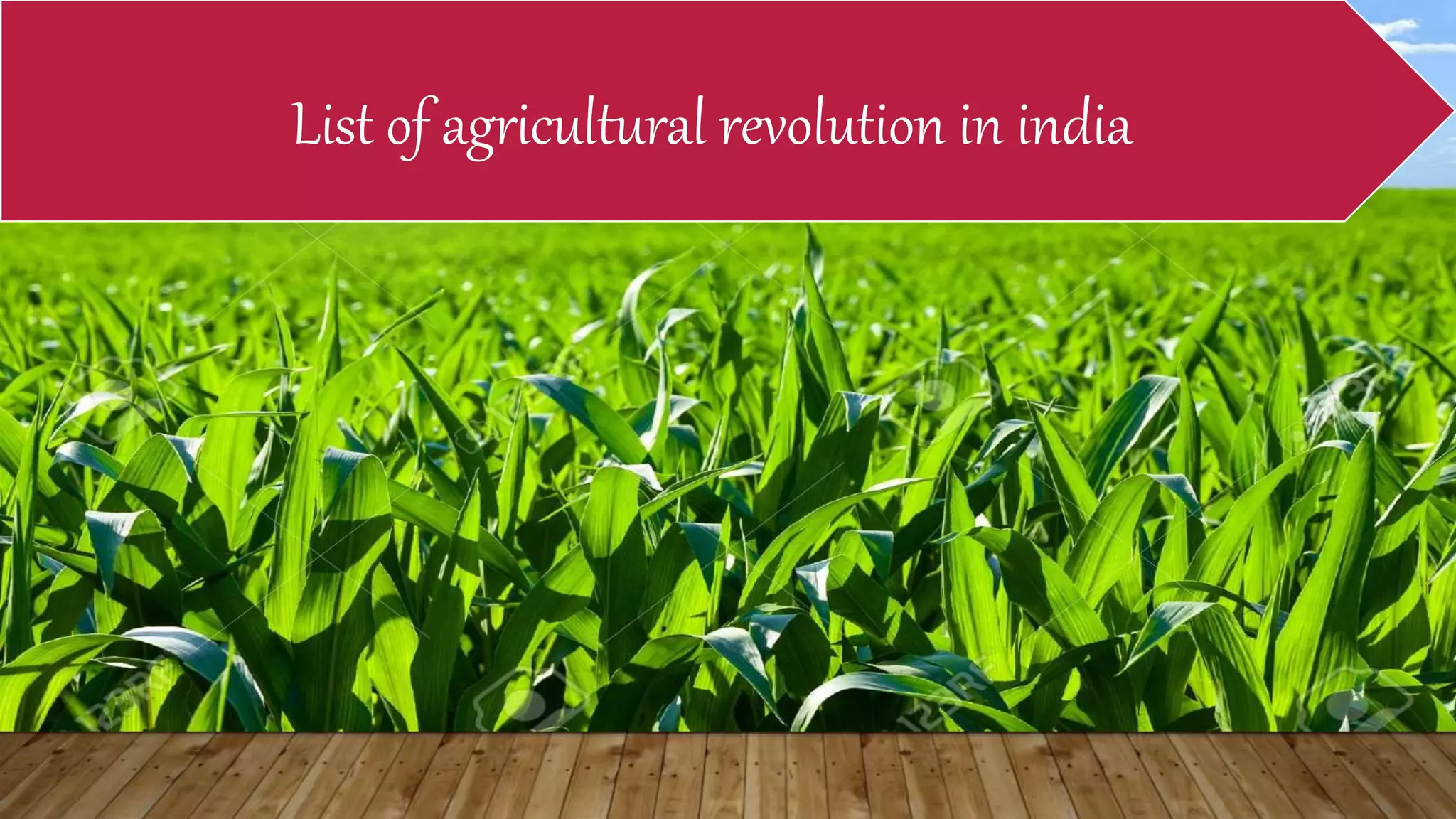 Different Revolution in agriculture | PPTX