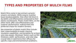 Revolutionizing Agriculture With Plastic Mulch Film Here’s What We Know.pptx