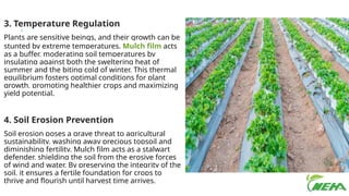 Revolutionizing Agriculture With Plastic Mulch Film Here’s What We Know ...