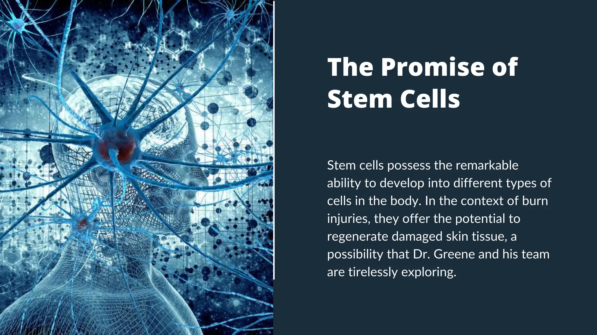 Revolutionizing Burn Care The Promise of Stem Cell Therapy R3 Stem Cell ...