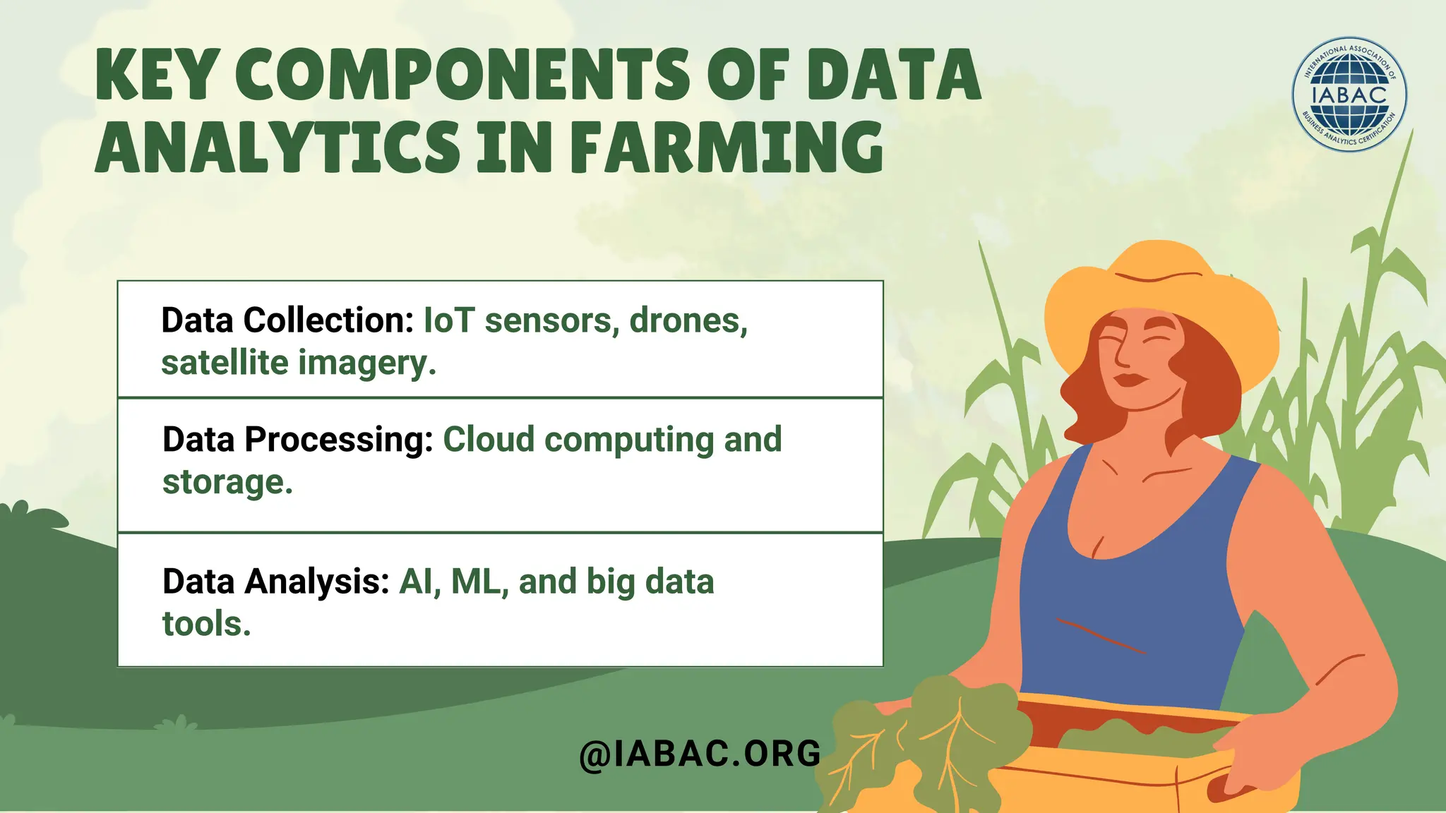 Revolutionizing Farming with Data Analytics (1).pdf Revolutionizing Farming with Data Analytics (1).pdf