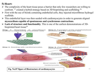 Revolution of 3 d organ model in pharmacological research | PPT