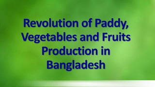 Revolution of paddy, vegetables and fruits production in bangladesh ...