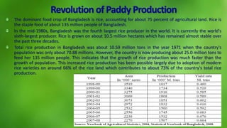 Revolution of paddy, vegetables and fruits production in bangladesh | PPTX