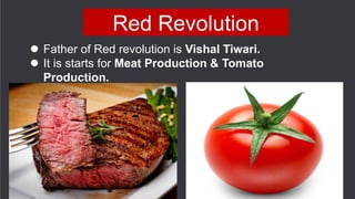 Revolutions in agriculture ppt | PPTX