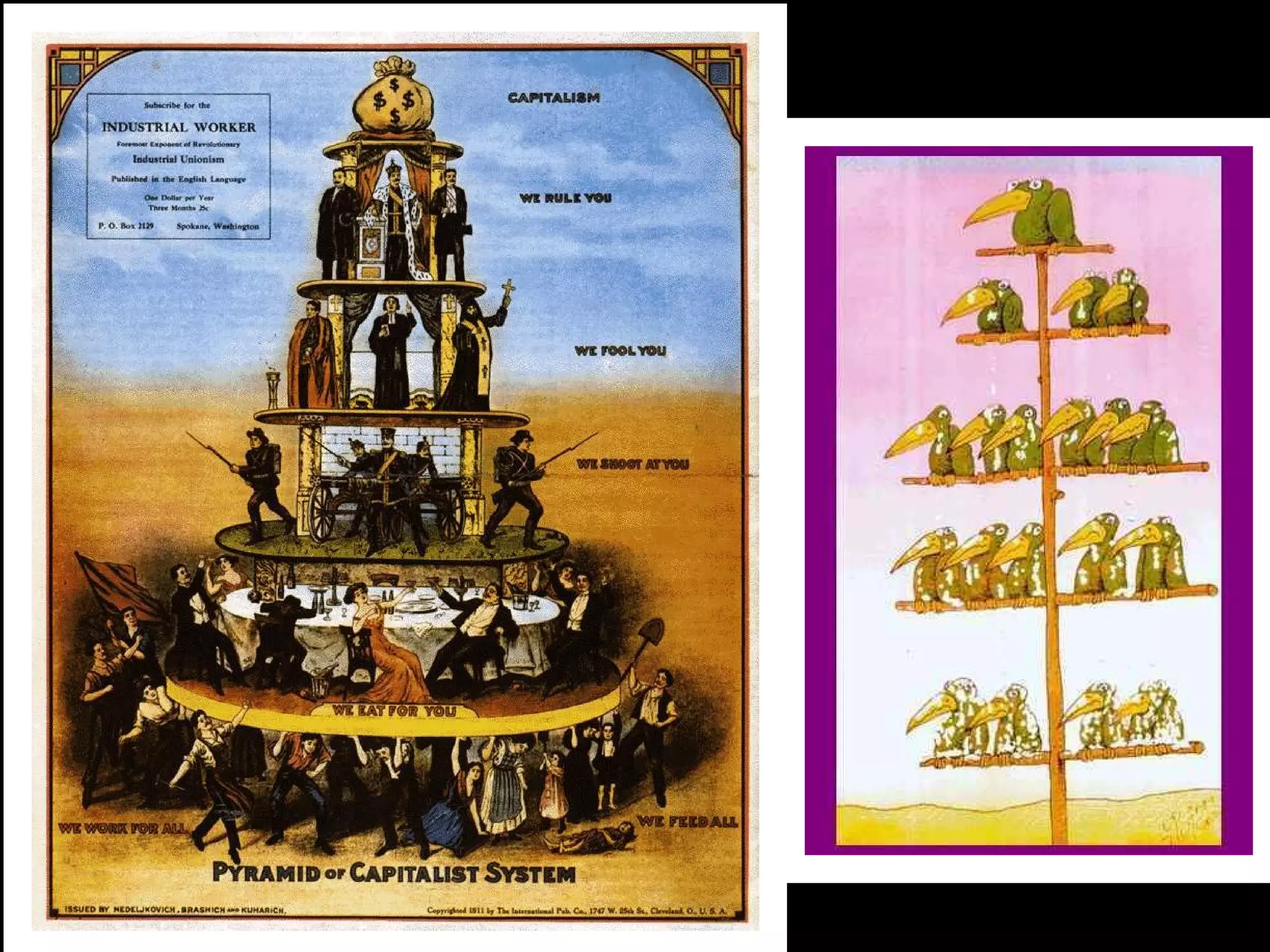 Revolution cartoons | PPS