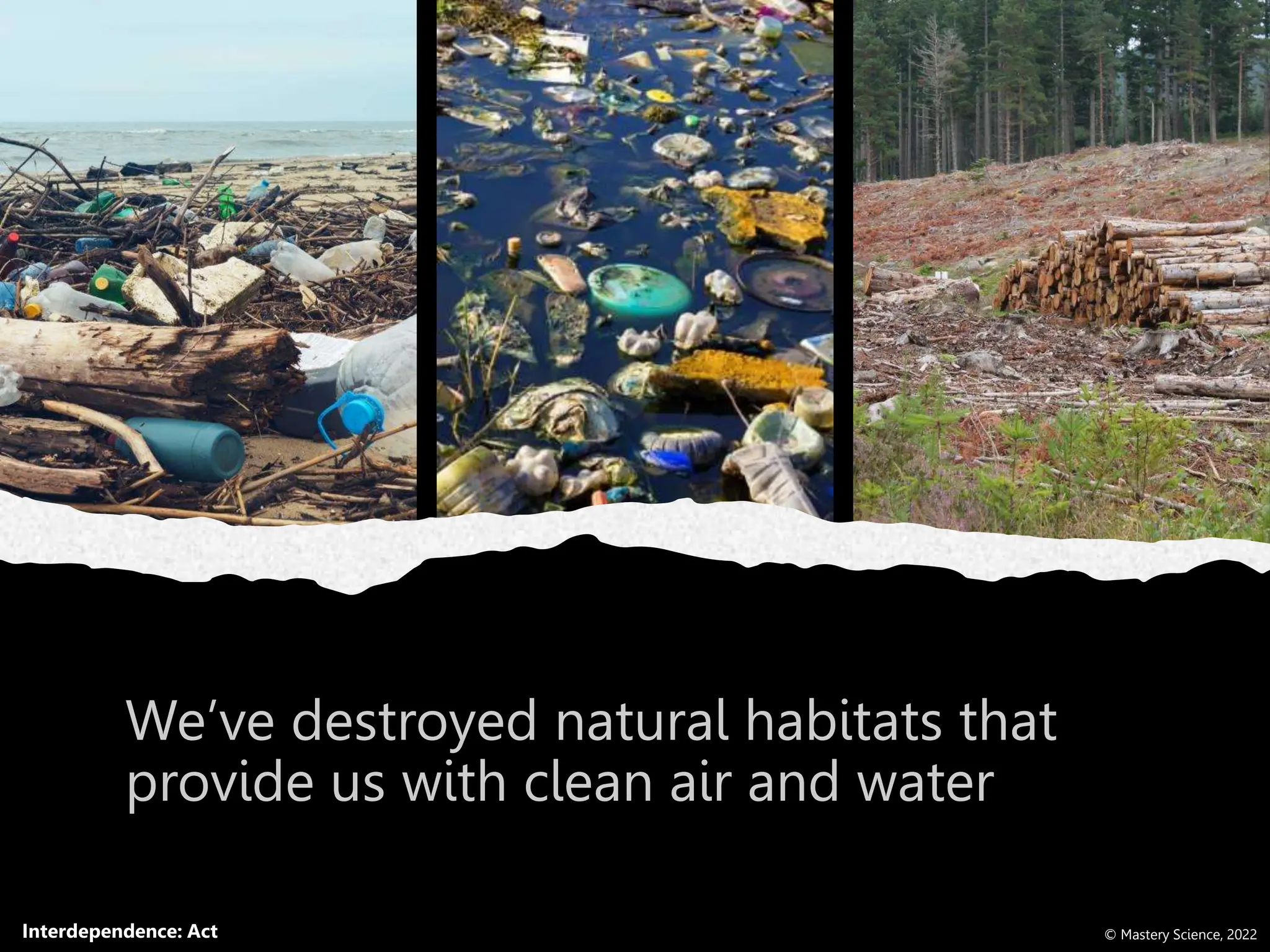 rewilding - protecting biodiversity and ecosystems.pptx