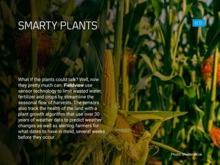 Rewir trend-review-7- | PPT