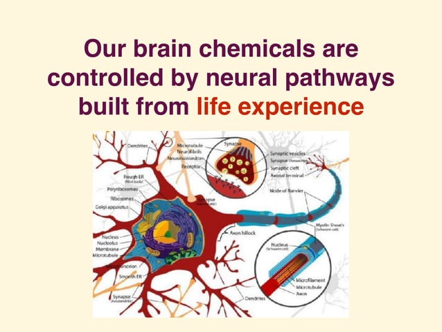 Rewire your natural happy brain chemicals: Dopamine, Serotonin ...