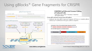 Rewriting the Genome Using CRISPR and Synthetic Biology | PPT