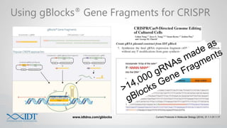 Rewriting the Genome Using CRISPR and Synthetic Biology | PPT