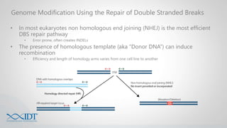 Rewriting the Genome Using CRISPR and Synthetic Biology | PPT