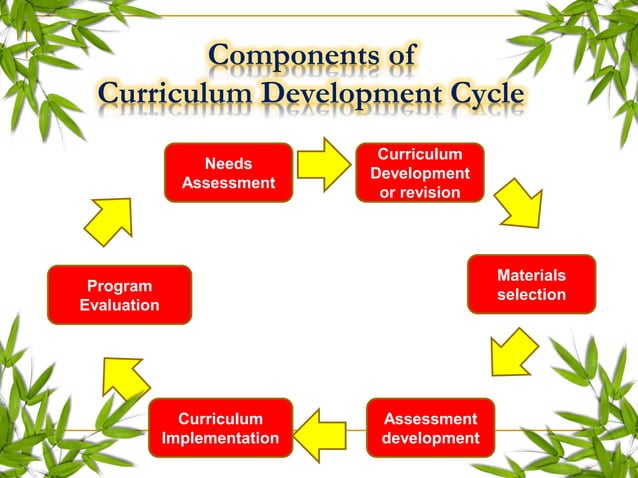 Curriculum Development Cycle | PPTX | Primary Education | Education