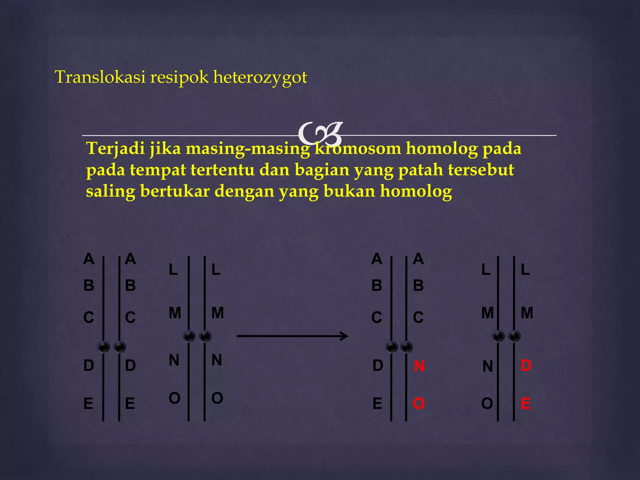 Rey.ppt
