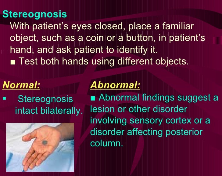 Neuro Assessment