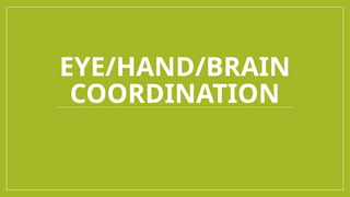 Eye, Hand, & Brain Coordination. PowerPoint presentation | PPTX