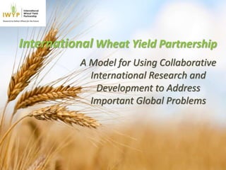 Promoting international collaboration in wheat | PPT