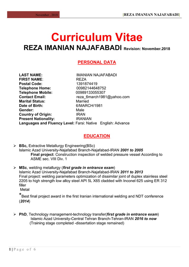 Reza imanian english cv | PDF