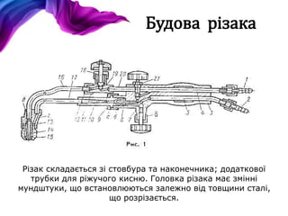 rezaki.ppt | Free Download