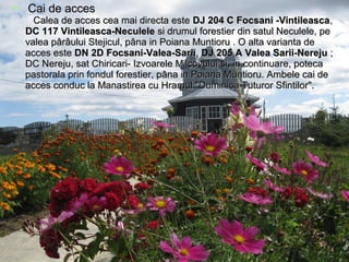 Rezervația poiana muntioru | PPT