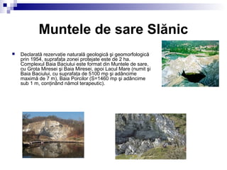 Rezervaţii naturale din judeţul prahova | PPT