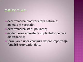 Rezervatia codrii | PPT