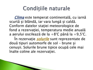 Rezervatia codrii | PPT
