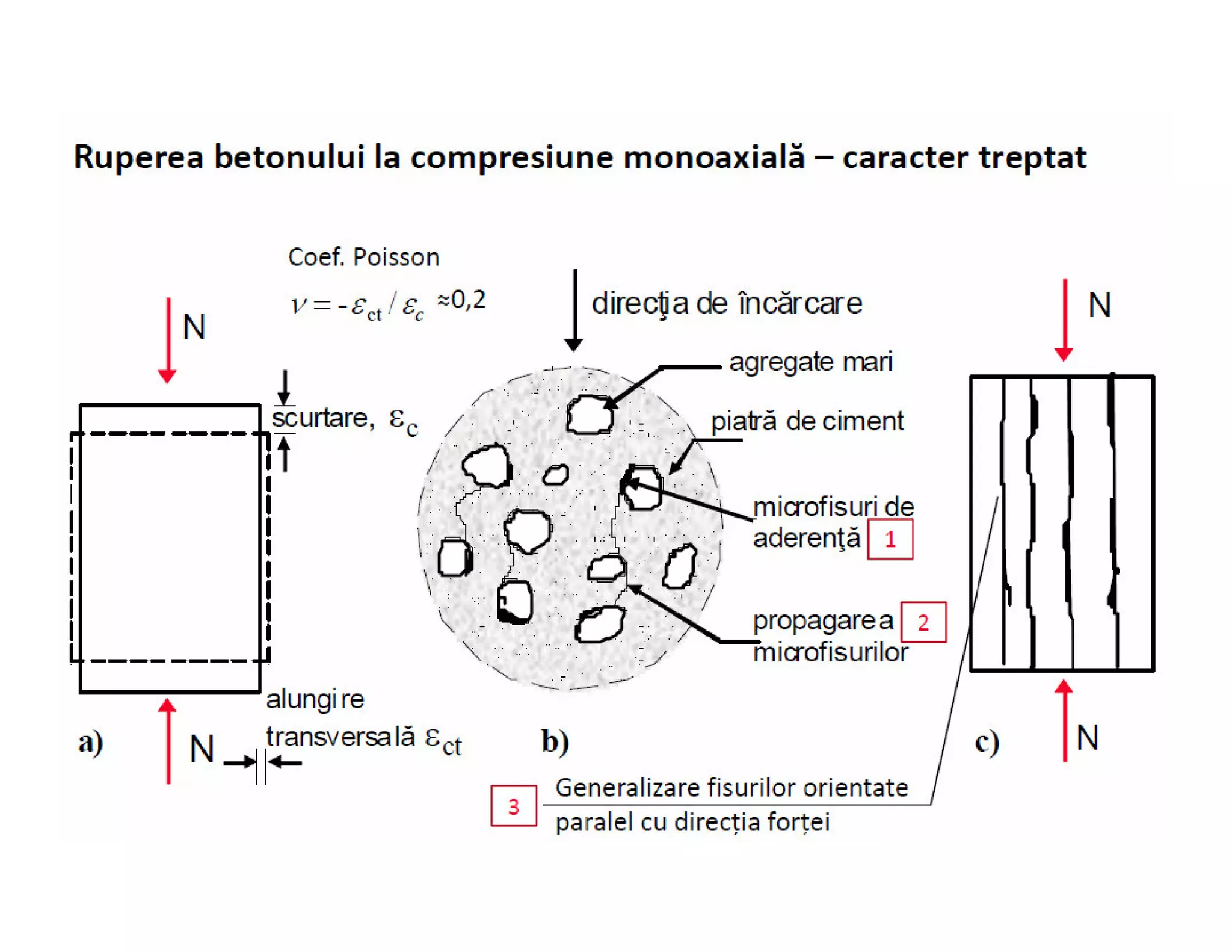 Rezistentele betonului | PDF