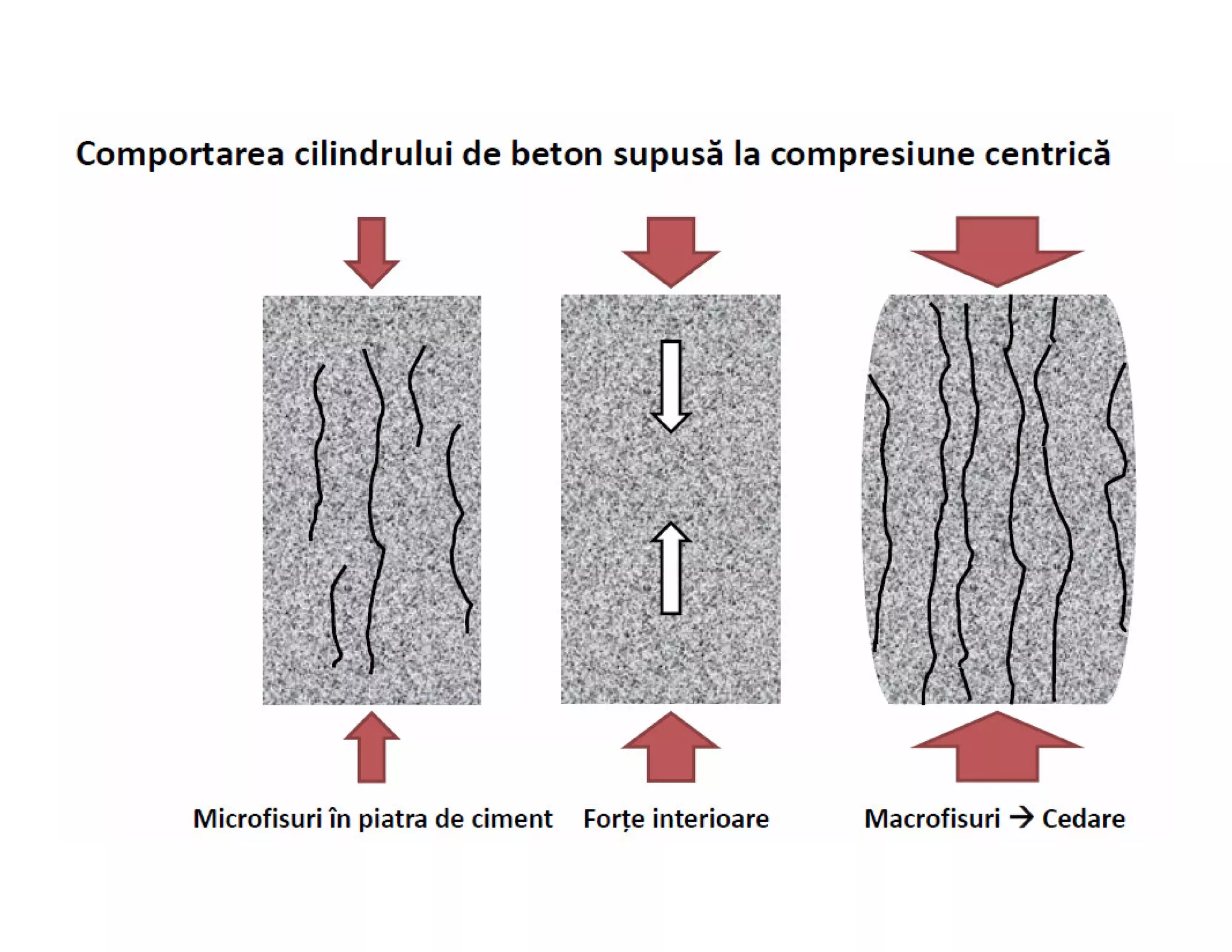 Rezistentele betonului | PDF