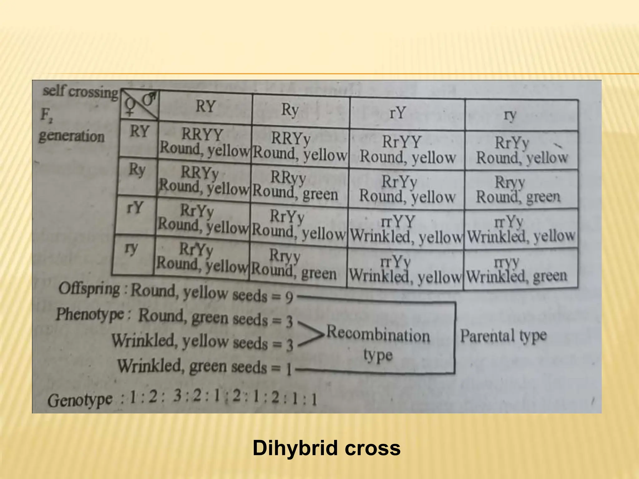 mendal_law_of_inheritance , 3laws of inheritance | PPTX