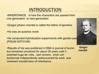 mendal_law_of_inheritance , 3laws of inheritance | PPT