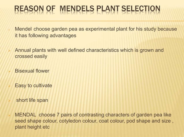 mendal_law_of_inheritance , 3laws of inheritance | PPT | Free download