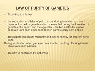 mendal_law_of_inheritance , 3laws of inheritance | PPT